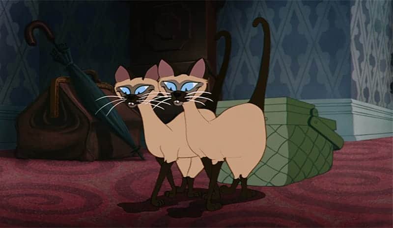 Disney Cat Names - 29 Unforgettable Characters [165+ Name Ideas!]